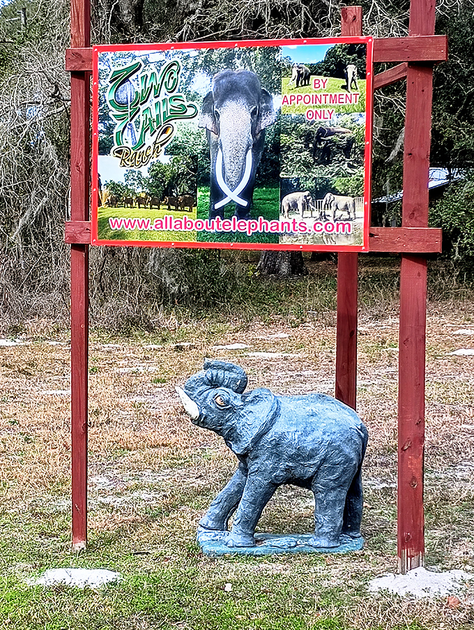 The colorful welcome sign for Two Tails Ranch, featuring their star resident and a reminder that this special place operates by appointment only.