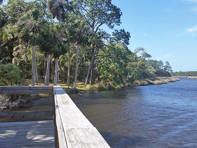 Standing here feels like being on the balcony of Florida's historical theater, with water and wildlife as the main act.