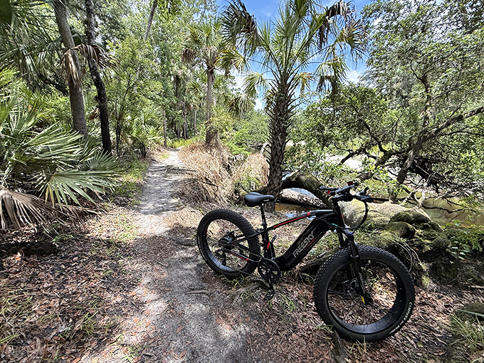 Fat-tire biking trails offer another way to experience the forest &ndash; like having dessert after the main course of hiking.
