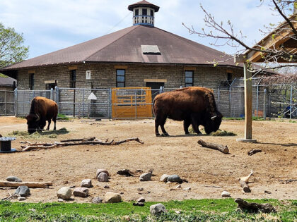 This Magical Free Zoo In Minnesota Is One Of The Largest In The U.S ...