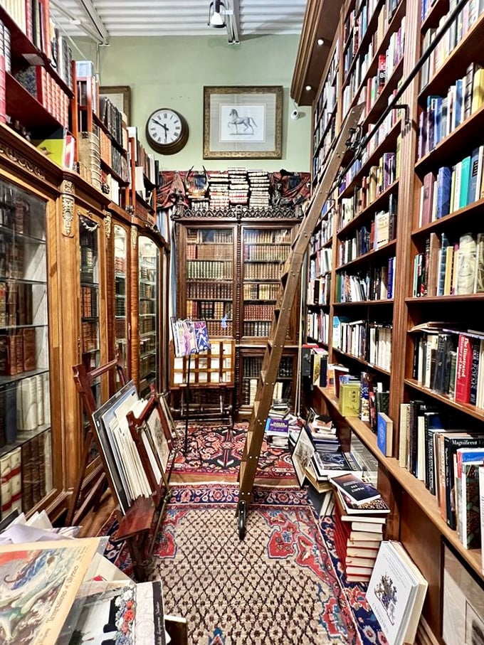 Each shelf tells its own story &ndash; spines of various heights, colors, and ages creating a visual timeline of literary history.
