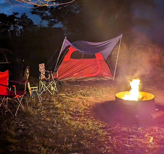 Primal entertainment system: The hypnotic dance of campfire flames has been captivating humans long before Netflix existed.