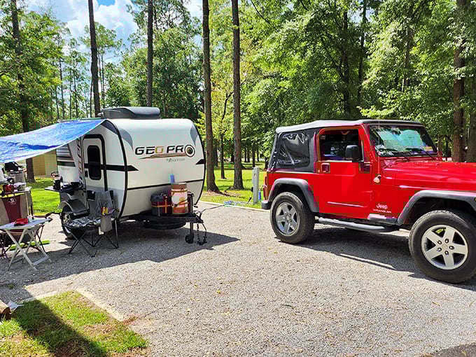 Camping nirvana with a side of pine-scented luxury&mdash;just add marshmallows and ghost stories.