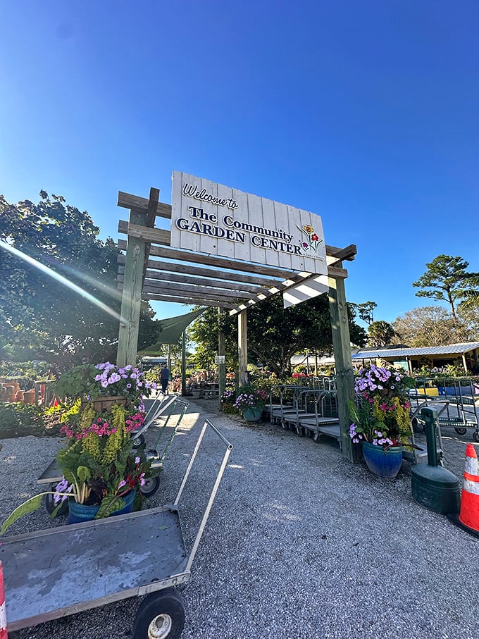 The Community Garden Center bursts with colorful blooms, a man-made complement to the Grade's natural beauty.