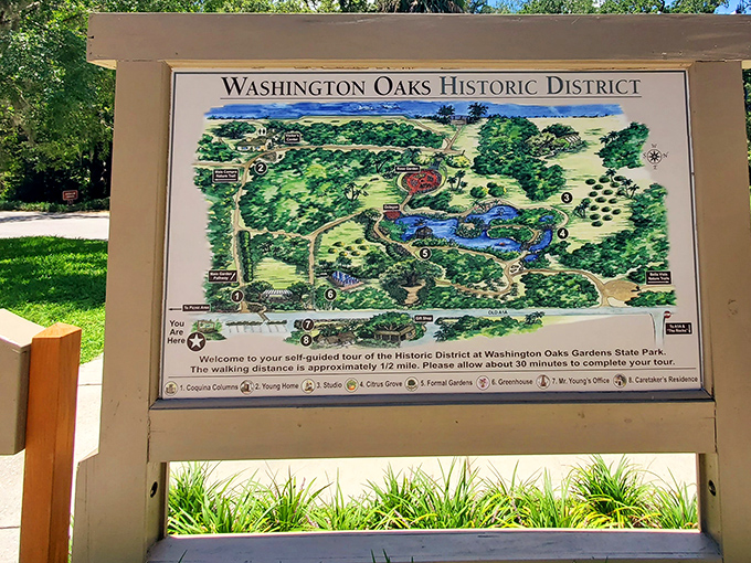 These winding pathways invite exploration through gardens where every turn reveals a new botanical surprise.