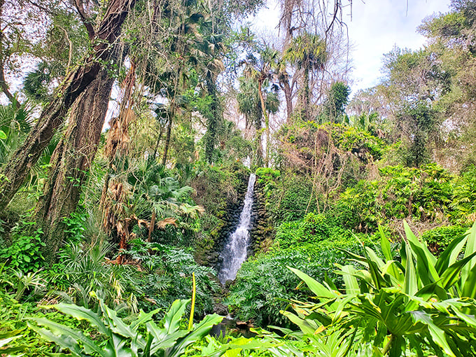 Tropical gardens frame cascading waters, creating postcard-worthy scenes at every turn. Florida's natural side showing off its good angles.