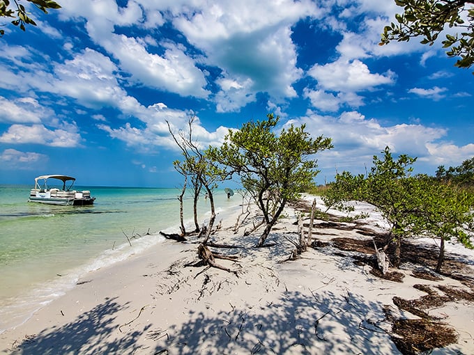 Kayak adventures: When your office becomes endless blue and your coworker is a curious fish below.