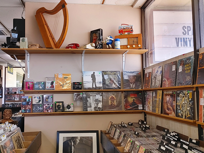 Every shelf tells a story at Bananas, where albums are displayed like the works of art they truly are, waiting for their next appreciative owner.