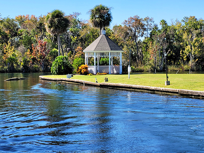 This picturesque gazebo isn't just Instagram-worthy &ndash; it's the perfect spot to contemplate life at manatee speed.