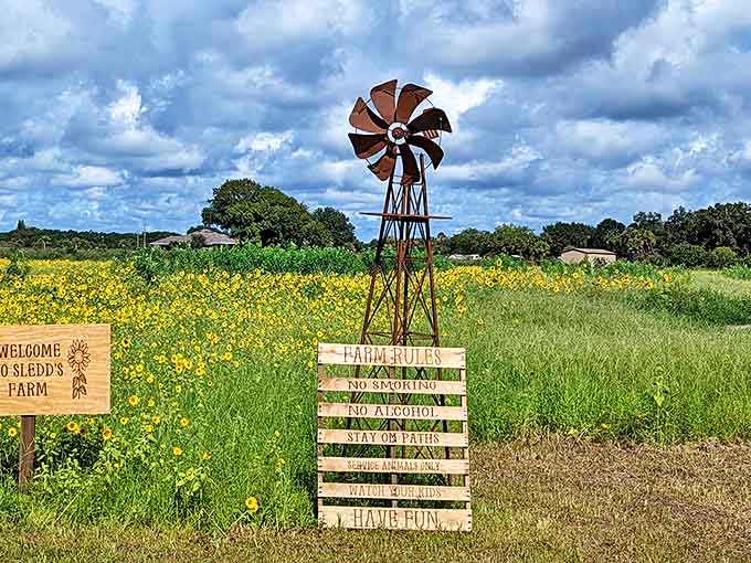 Farm rules that basically boil down to "be nice, stay safe, and have fun," which is pretty much the recipe for any good day out.