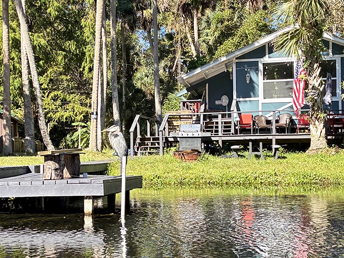 Riverside retreat: This charming cabin seems to whisper, "Come sit on my porch and watch the world float by."