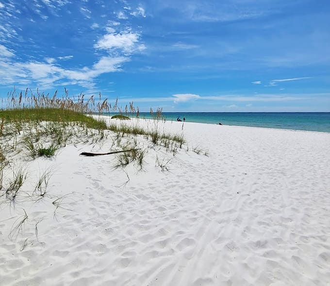 This beach's white sand squeaks under your feet and stays cool even at noon, making it one of the Gulf Coast's greatest treasures.