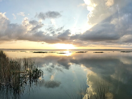 These 12 Beautiful Lakes In Florida Have An Enchanting Aura Around Them ...