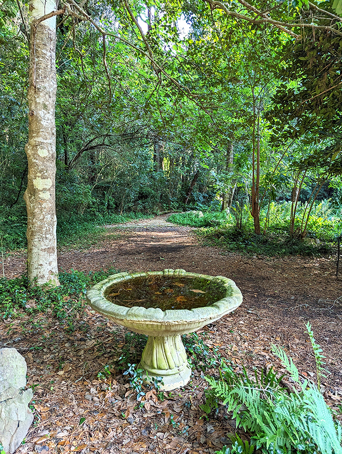 This isn't just a birdbath &ndash; it's a five-star spa resort for the local feathered population.
