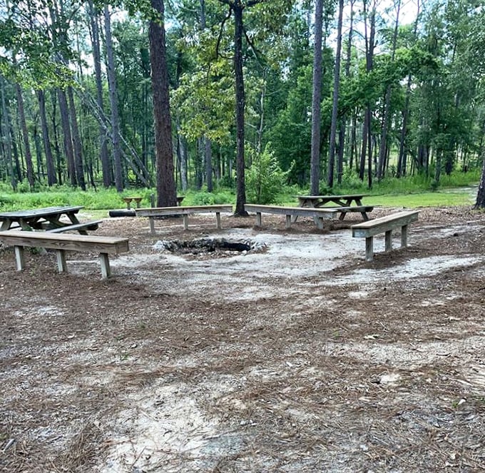 This campfire circle has witnessed countless s'more disasters and tall tales &ndash; the unofficial theater of camping memories.