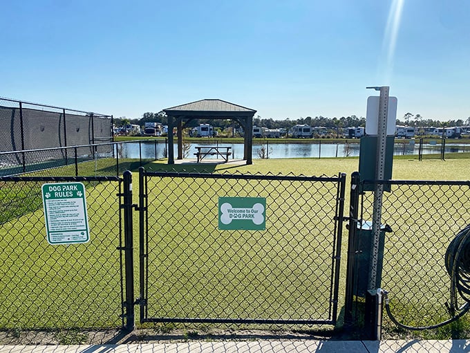 Even four-legged adventurers get their own slice of paradise at this thoughtfully designed dog park.