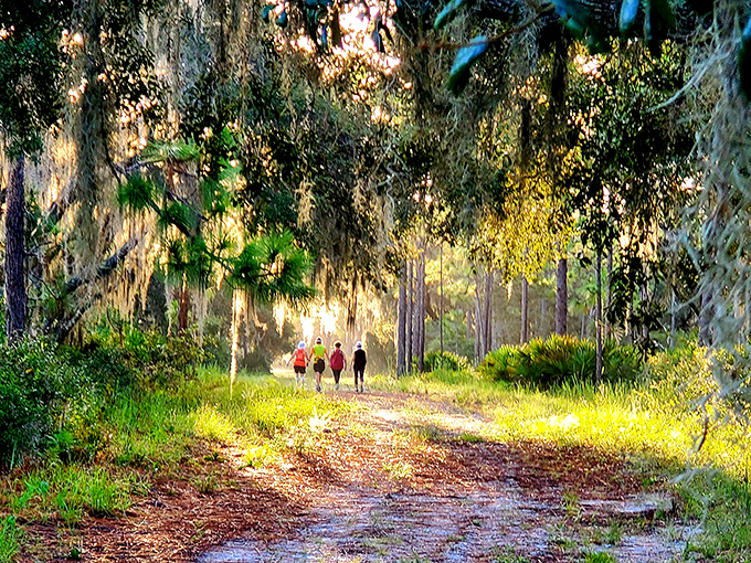 Early morning hikers catch golden hour light streaming through the trees, creating the kind of magical moment that no filter can improve.