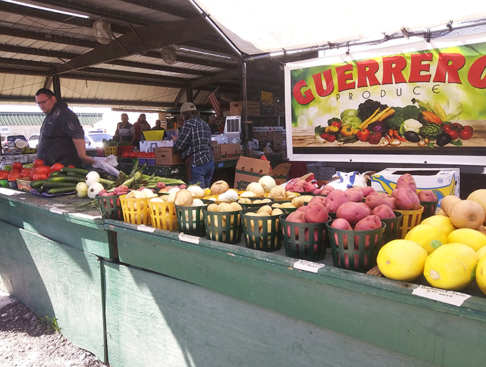 Guerrero Produce brings farm-to-flea-market freshness, proving treasure hunting works up an appetite for something besides nostalgia.