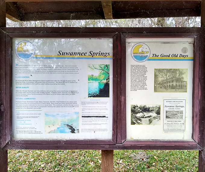 History preserved in weathered wood frames, these information boards tell the story of Suwannee Springs' heyday as a 19th-century health resort.