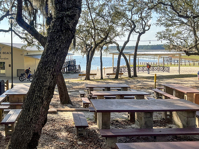 Picnic tables nestled under ancient oaks create natural dining rooms with million-dollar views &ndash; no reservation required.