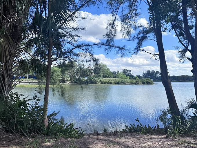 Nature's mirror reflecting Florida's impossibly blue skies &ndash; a serene contrast to the gleeful chaos of Paradise Cove.