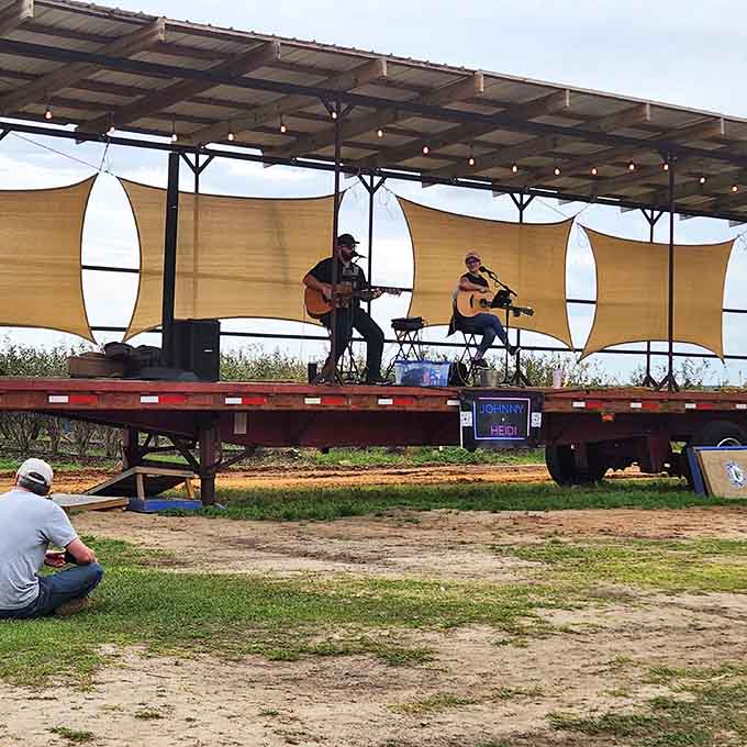 Live music drifts across the fields from a flatbed stage, because apparently picking fruit is even better with a soundtrack that doesn't involve earbuds.