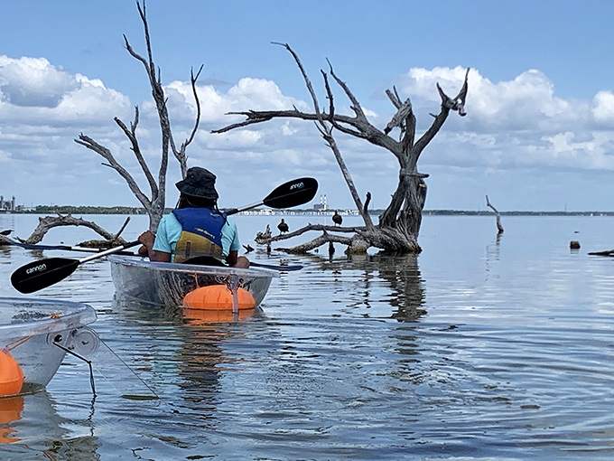 Weathered branches reach from the water like nature's sculpture garden, creating an otherworldly paddling experience.