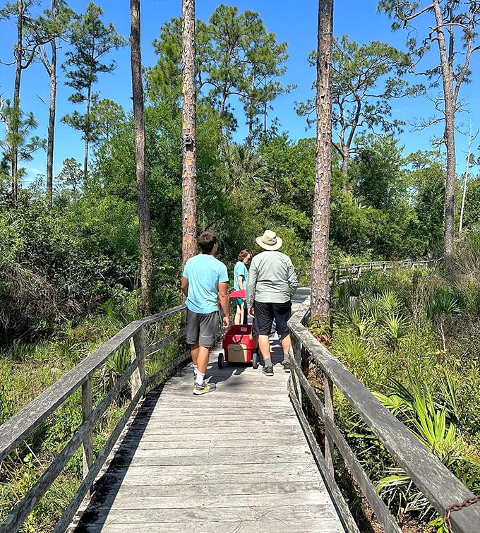 Fellow explorers venture deeper into the swamp's embrace, the wooden pathway promising discoveries with every step forward.