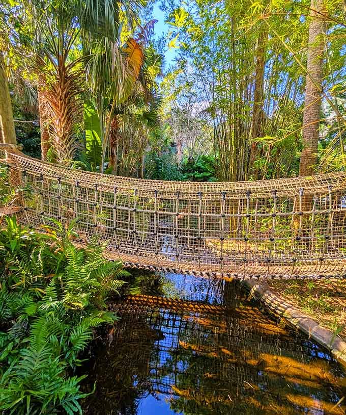 Rope bridges add just enough adventure to make kids feel like explorers without giving parents actual heart attacks, perfect balance achieved.