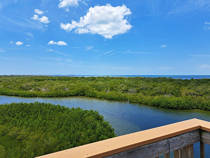From this elevated vantage point, the preserve's waterways stretch toward the horizon in stunning blue patterns.