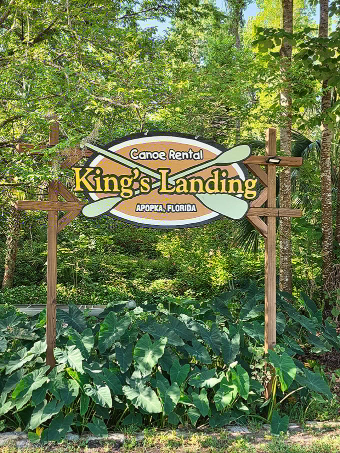 Adventure starts here! The wooden sign marks the gateway between ordinary life and extraordinary river experiences.