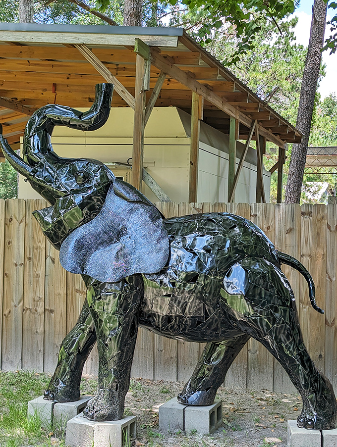 This gleaming elephant statue stands as a shining tribute to the real giants just beyond—art imitating life in the most magnificent way.