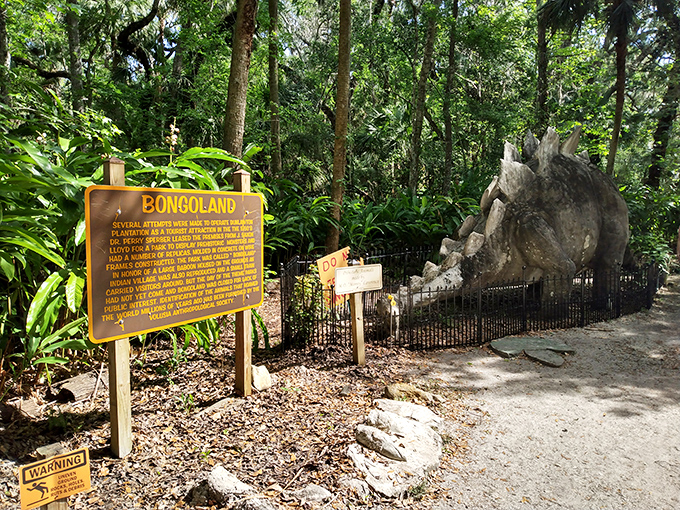 "Bongoland" &ndash; where else can you find prehistoric creatures, sugar mill ruins, and tropical gardens all in one delightfully odd Florida attraction?