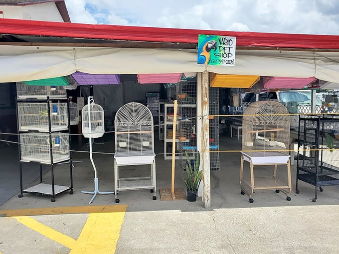Empty cages waiting for feathered residents&mdash;the bird equivalent of model homes in a very exclusive neighborhood.