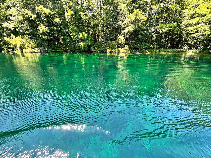 The spring's legendary clarity reveals an underwater world of limestone and dancing light, nature's own stained glass masterpiece beneath the surface.