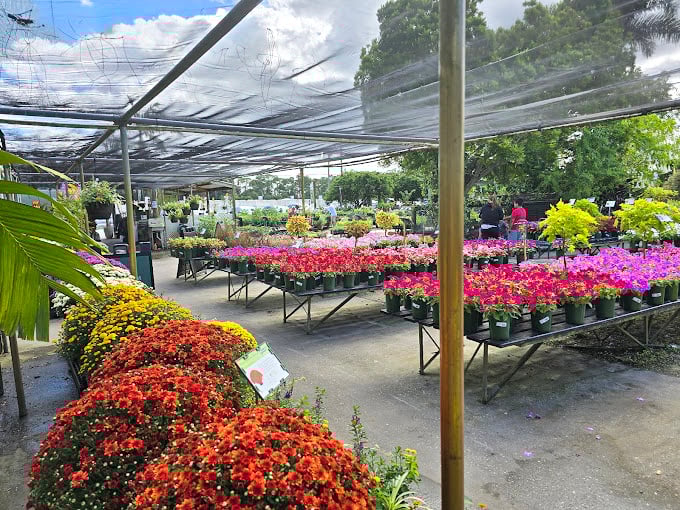 A rainbow of flowers awaits green-thumbed visitors, inspiration for bringing a piece of Florida's beauty home.