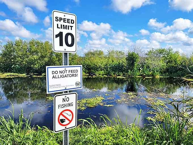 Florida's most important reading material – the "don't become lunch" advisory board that tourists should take very seriously.
