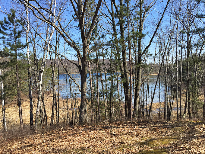 The forest frames the lake like nature's perfect picture window, no filter needed for this view.