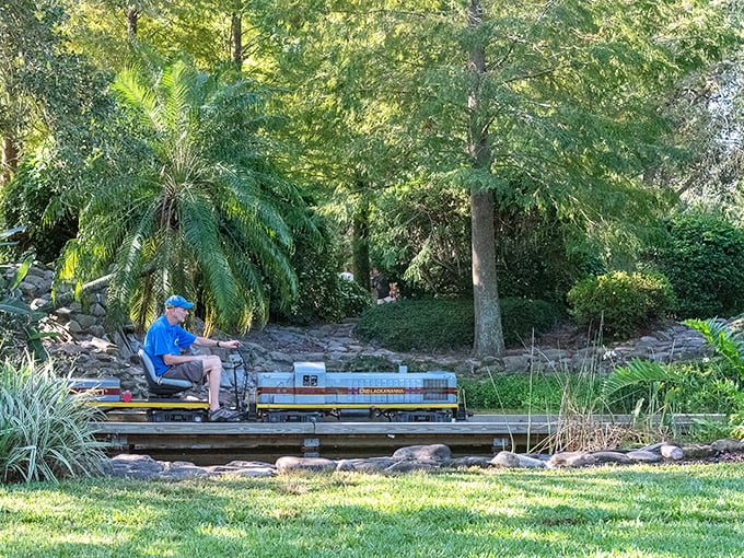 Sunlight filters through the oak canopy as this miniature marvel navigates the winding tracks &ndash; Florida railroading in perfect miniature form.