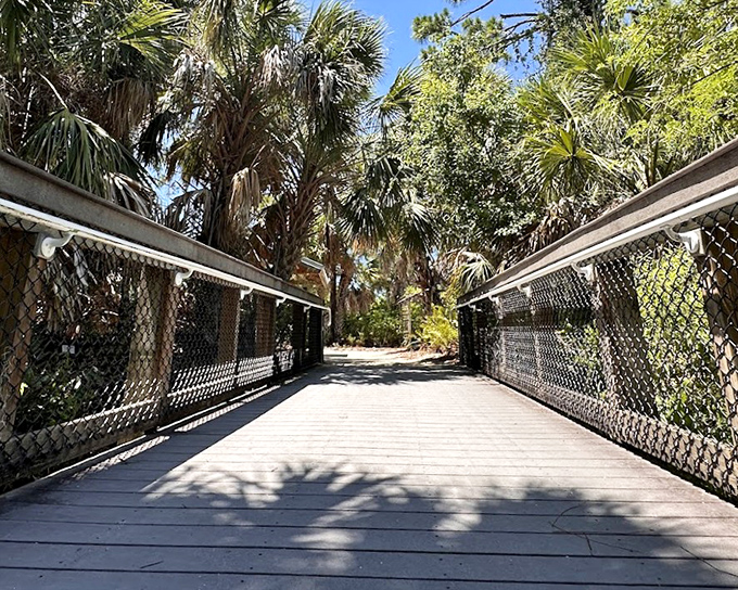 This bridge connects more than two pieces of land &ndash; it links our hurried human world with nature's unhurried rhythm.