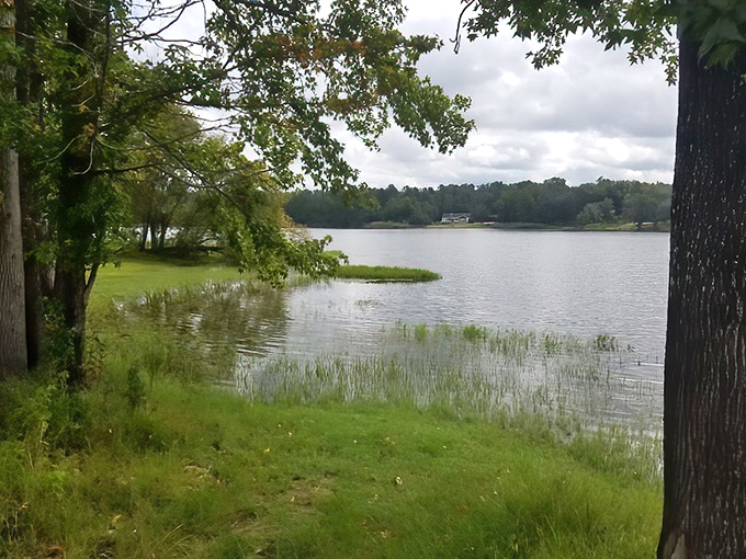 Blue Lake lives up to its name with waters so vibrantly colored they seem almost unreal against the backdrop of Florida's green landscape.