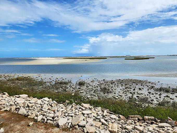 Salt marshes stretch toward the horizon in shades of green and gold, creating landscapes that have looked this way for thousands of years.