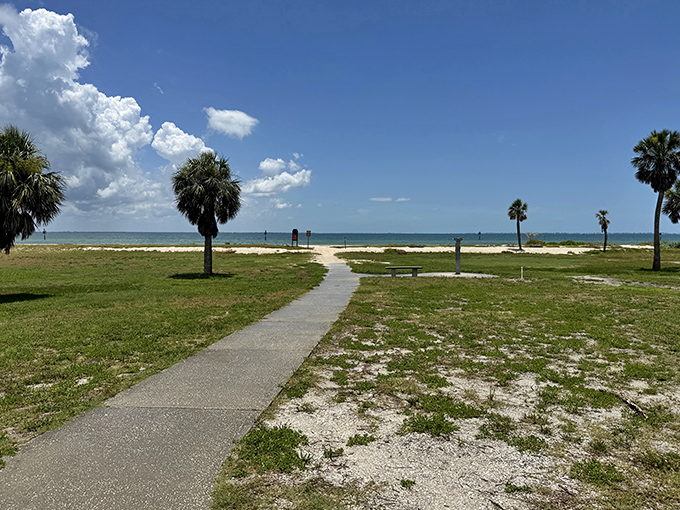 Beach park: Where pristine shoreline meets carefully preserved greenspace, creating the perfect balance of recreation and conservation.
