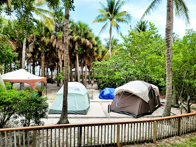 Colorful tents nestle among the palms in Peanut Island's camping area, where overnight guests trade hotel amenities for million-star accommodations.