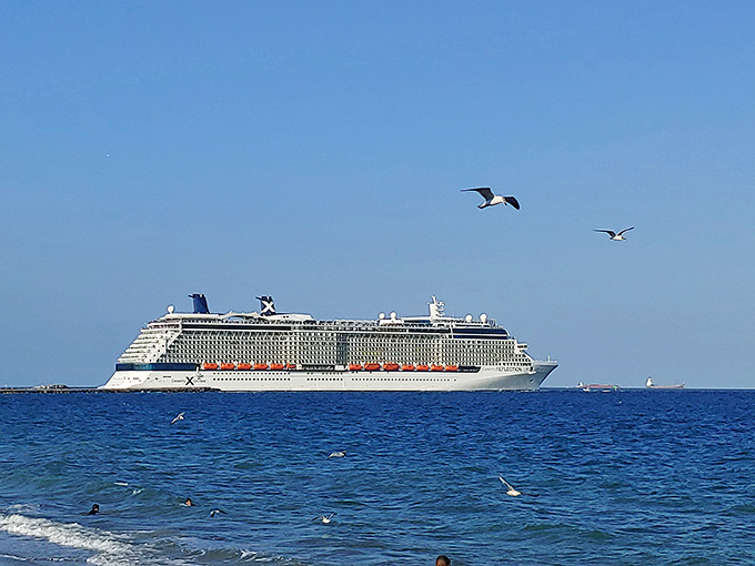 The Celebrity Reflection creates its own horizon &ndash; cruise ships passing the park offer an ever-changing backdrop of maritime magnificence.