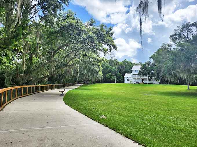 Historic Thursby House Lawn: A winding path leads to a white historic home, standing proudly amid Spanish moss-draped oaks like a Southern belle.
