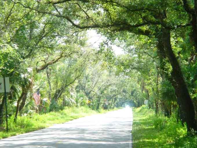 Serenity isn't just a word here; it's the entire vibe, wrapped in green and delivered straight to your soul.