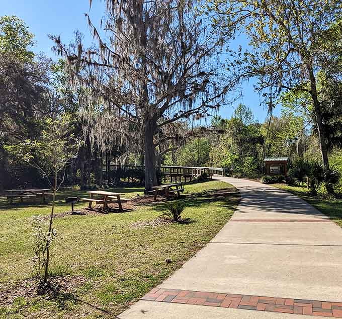 Picnic tables scattered throughout the park offer dining with a view, where your biggest concern is whether that rustling overhead is a monkey or just the wind, spoiler: it's probably a monkey.