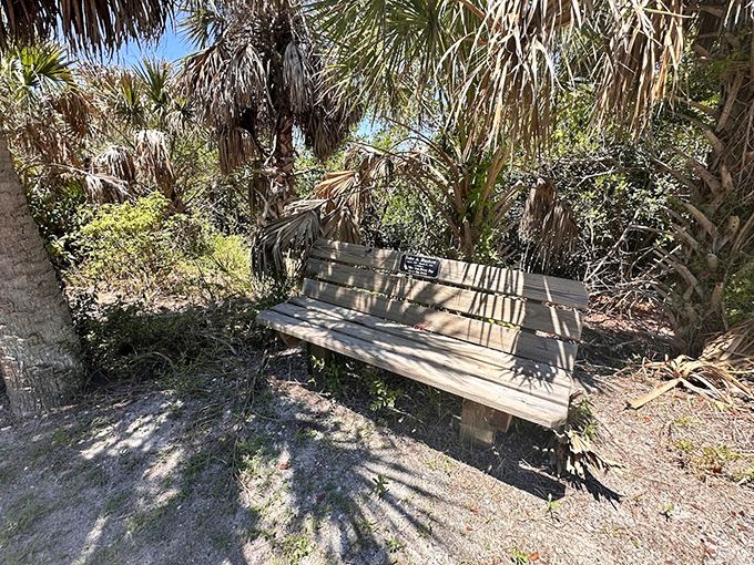 This simple bench offers the best therapy session in town &ndash; no appointment necessary, just sit and let the palms whisper their wisdom.