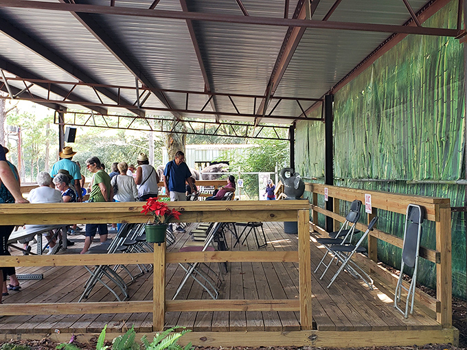 The covered pavilion offers a perfect spot for visitors to gather, share stories, and occasionally hear the distant trumpet of an elephant greeting.